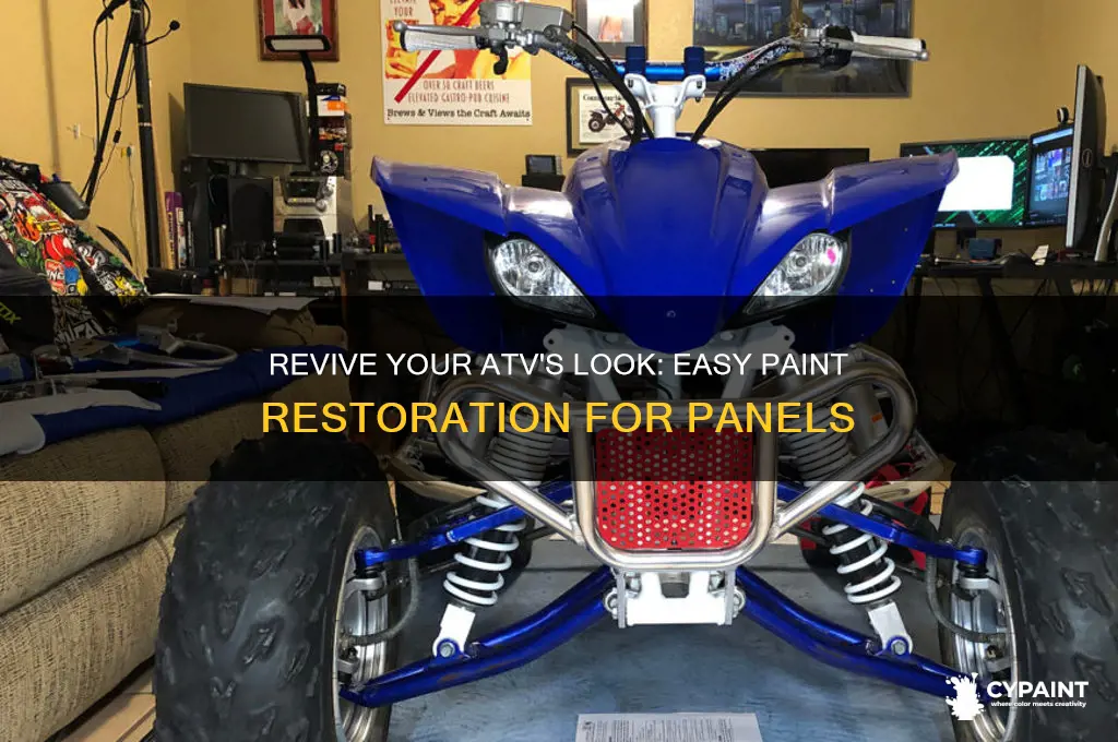 Revive Your Atv's Look: Easy Paint Restoration For Panels | CyPaint