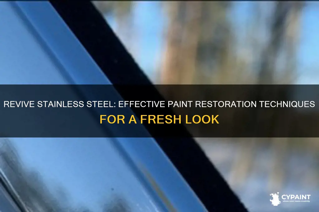 Revive Stainless Steel: Effective Paint Restoration Techniques For A ...