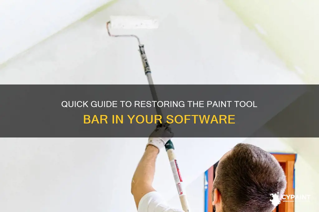 Quick Guide To Restoring The Paint Tool Bar In Your Software | CyPaint