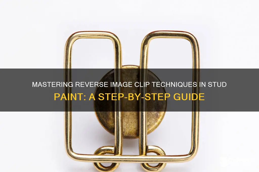 Mastering Reverse Image Clip Techniques In Stud Paint: A Step-By-Step ...