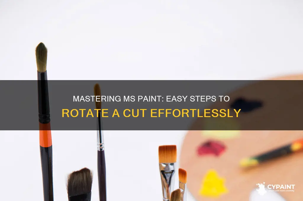 Mastering Ms Paint: Easy Steps To Rotate A Cut Effortlessly | CyPaint