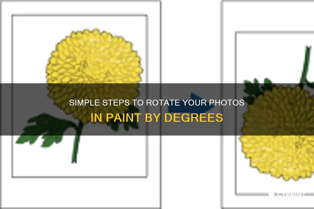 Simple Steps To Rotate Your Photos In Paint By Degrees | CyPaint