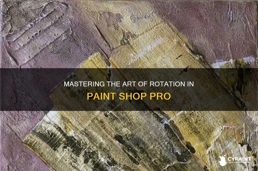 Mastering The Art Of Rotation In Paint Shop Pro | CyPaint