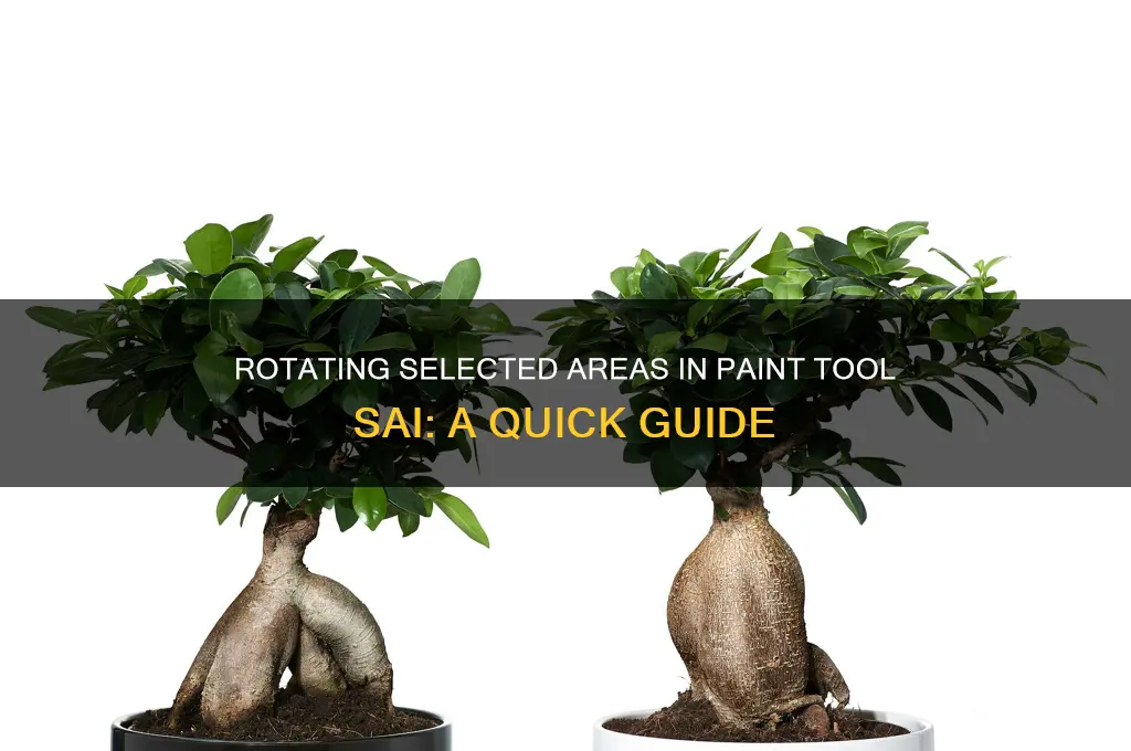 Rotating Selected Areas In Paint Tool Sai: A Quick Guide | CyPaint