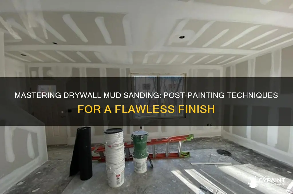 Mastering Drywall Mud Sanding: Post-Painting Techniques For A Flawless ...