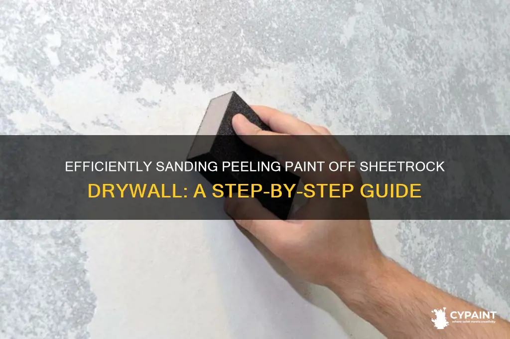 Efficiently Sanding Peeling Paint Off Sheetrock Drywall: A Step-By-Step ...