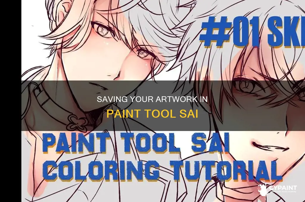 Saving Your Artwork In Paint Tool Sai | CyPaint