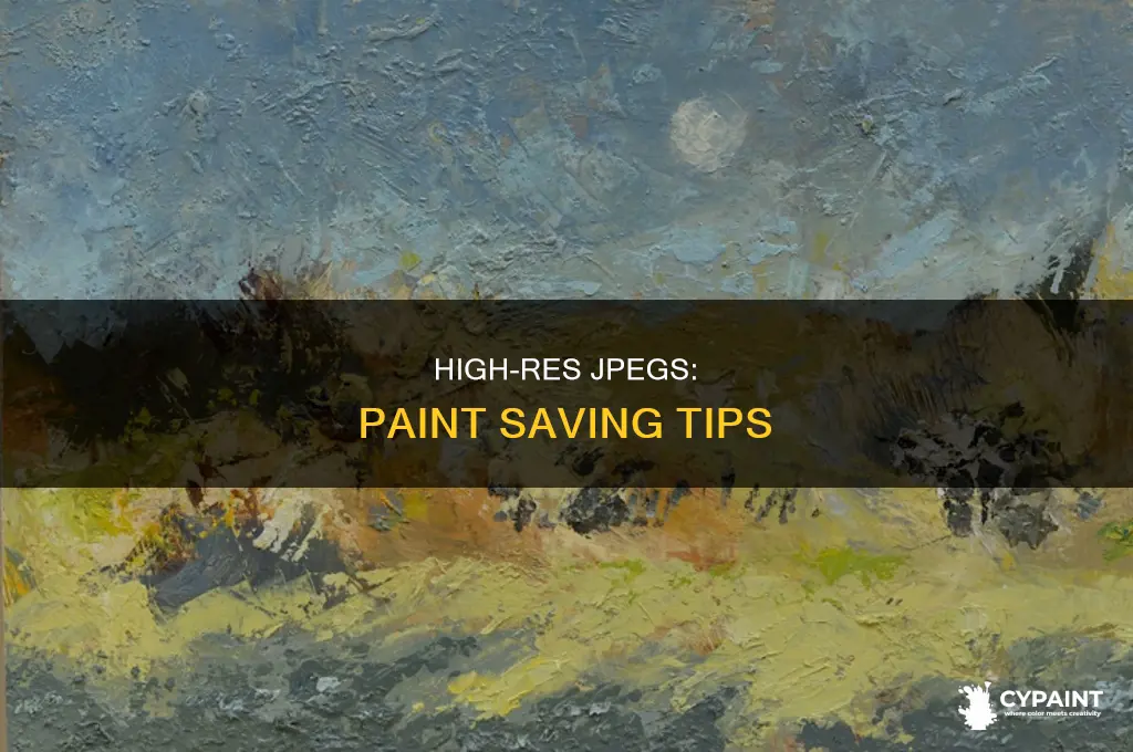 High-Res Jpegs: Paint Saving Tips | CyPaint
