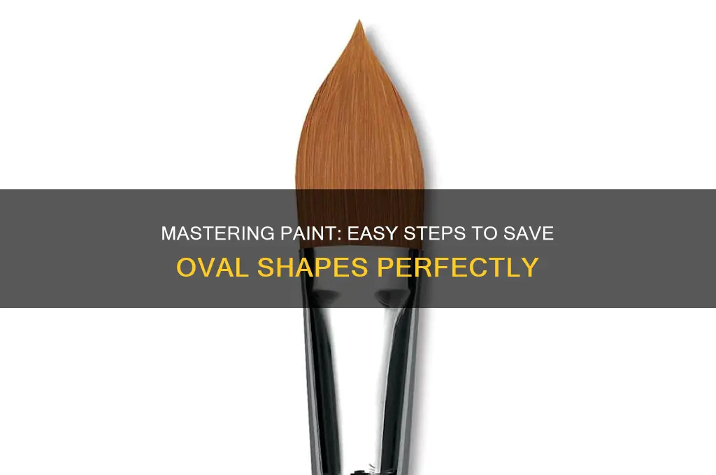 Mastering Paint: Easy Steps To Save Oval Shapes Perfectly | CyPaint
