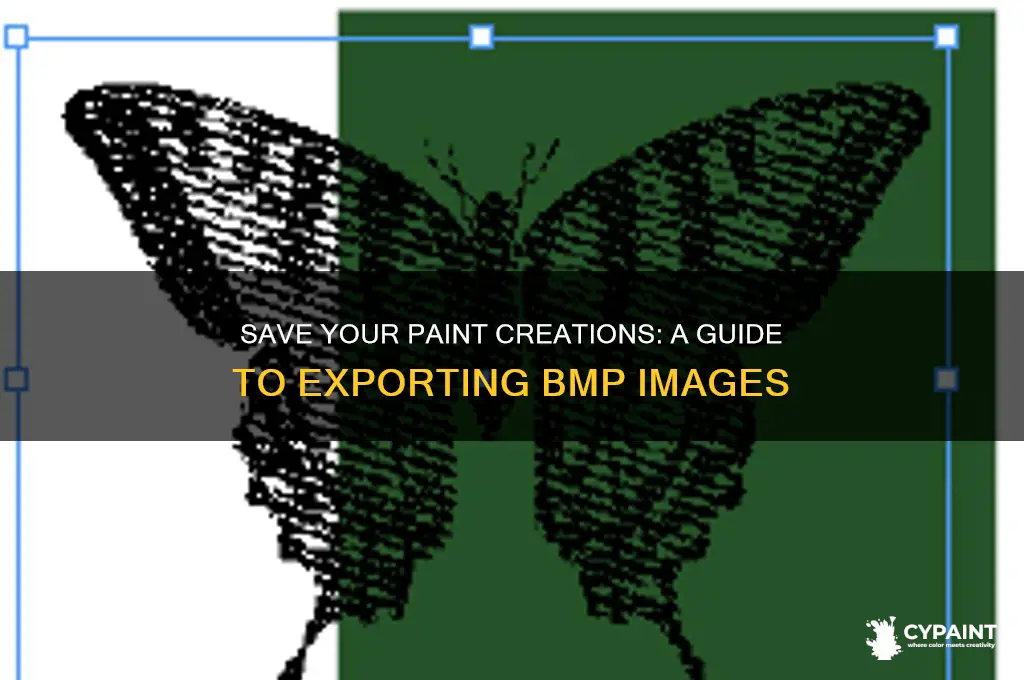 Save Your Paint Creations: A Guide To Exporting Bmp Images | CyPaint