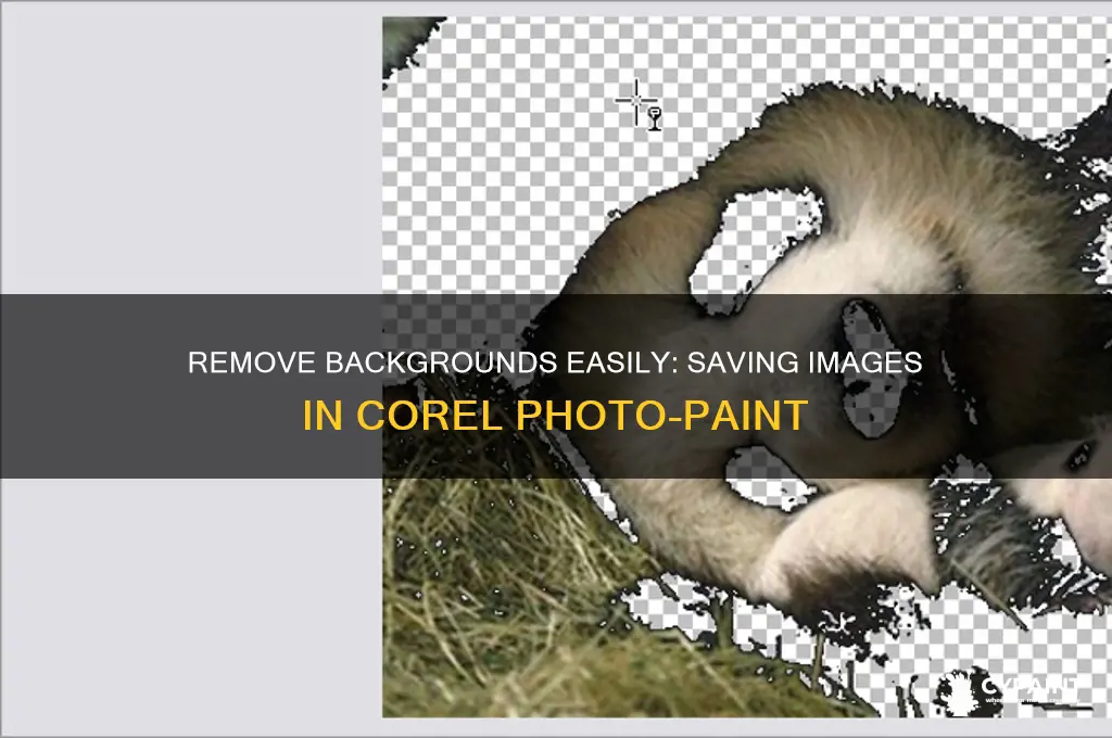 Remove Backgrounds Easily: Saving Images In Corel Photo-Paint | CyPaint