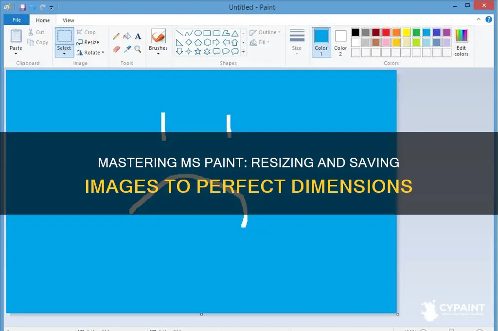 Mastering Ms Paint: Resizing And Saving Images To Perfect Dimensions ...