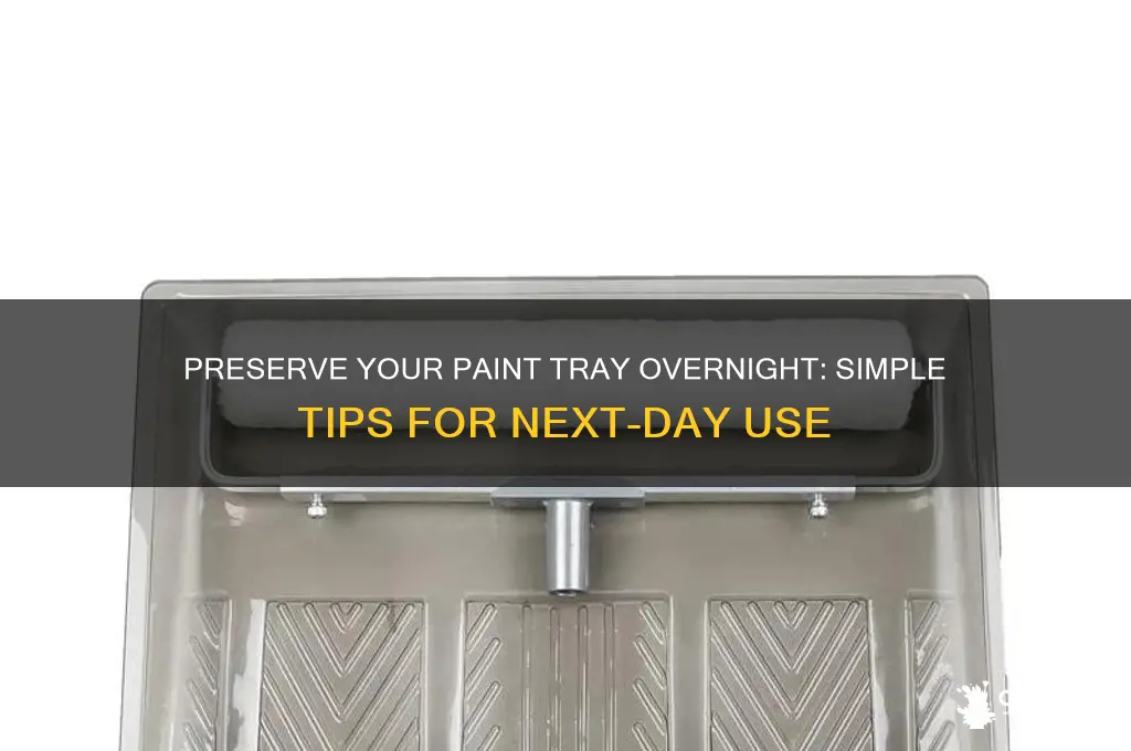 Preserve Your Paint Tray Overnight: Simple Tips For Next-Day Use | CyPaint