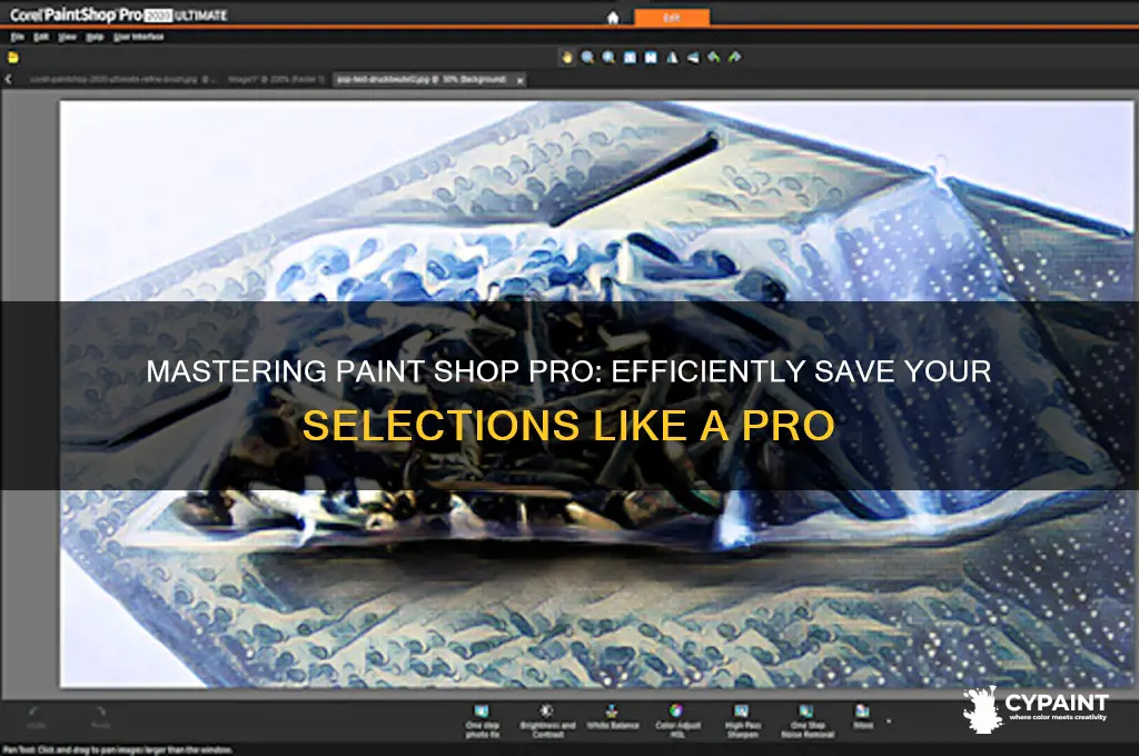 Mastering Paint Shop Pro: Efficiently Save Your Selections Like A Pro ...