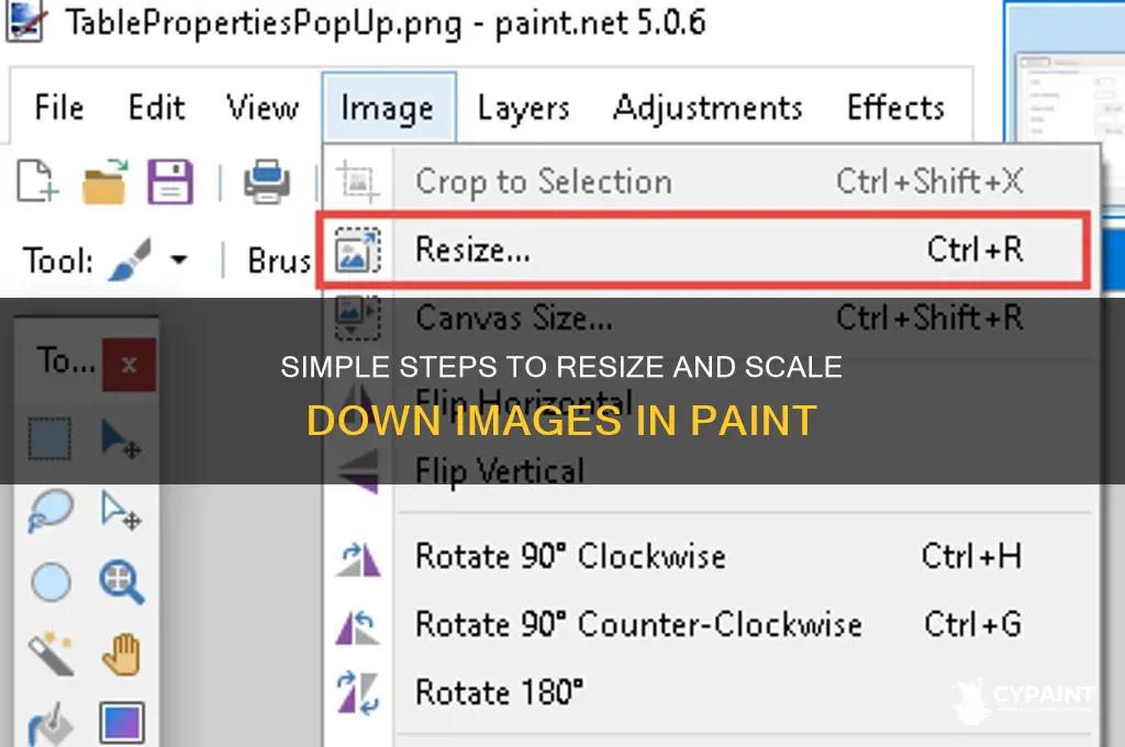 Simple Steps To Resize And Scale Down Images In Paint | CyPaint