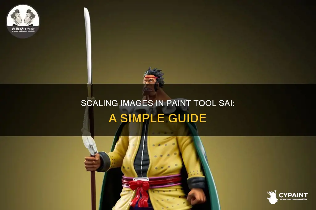 Scaling Images In Paint Tool Sai: A Simple Guide | CyPaint