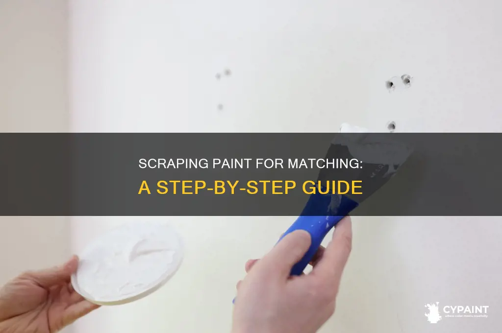 Scraping Paint For Matching: A Step-By-Step Guide | CyPaint