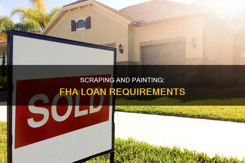 Scraping And Painting: Fha Loan Requirements | CyPaint