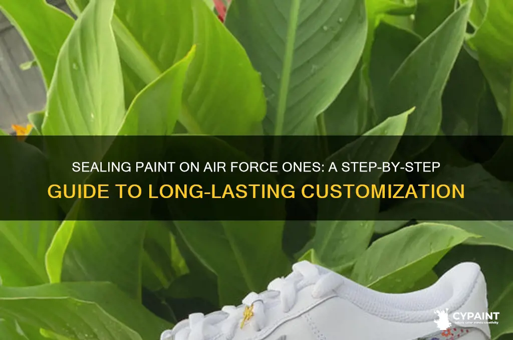 Sealing Paint On Air Force Ones: A Step-By-Step Guide To Long-Lasting ...