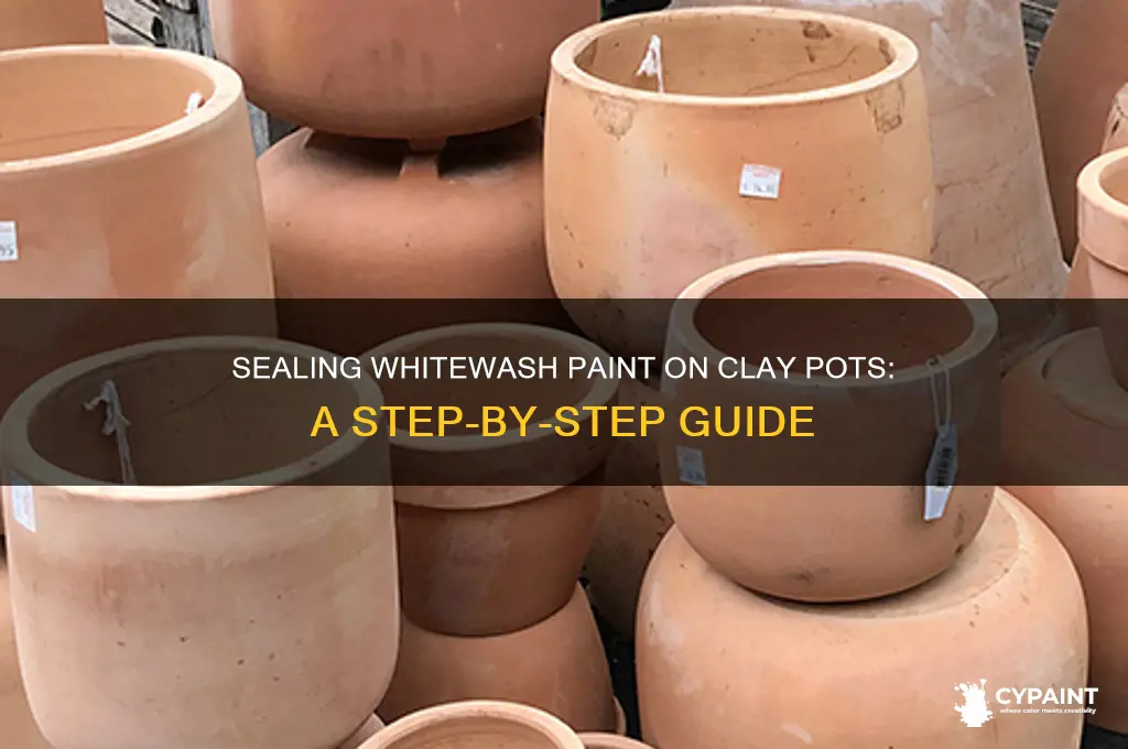 Sealing Whitewash Paint On Clay Pots: A Step-By-Step Guide | CyPaint