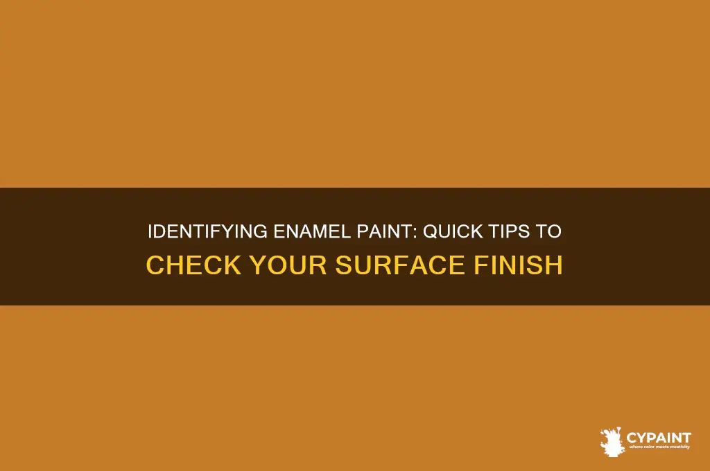 Identifying Enamel Paint: Quick Tips To Check Your Surface Finish | CyPaint