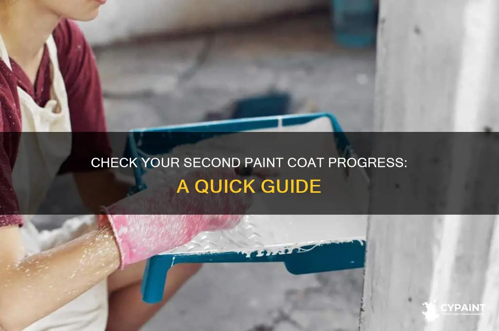 Check Your Second Paint Coat Progress: A Quick Guide | CyPaint