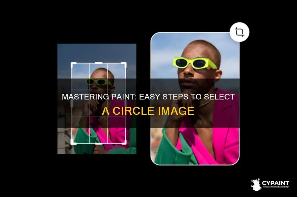 Mastering Paint: Easy Steps To Select A Circle Image | CyPaint