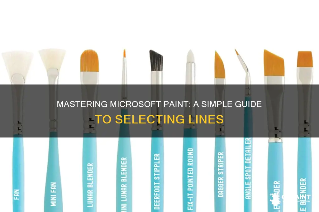 Mastering Microsoft Paint: A Simple Guide To Selecting Lines | CyPaint