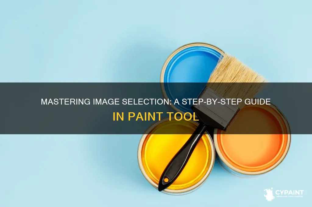 Mastering Image Selection: A Step-By-Step Guide In Paint Tool | CyPaint