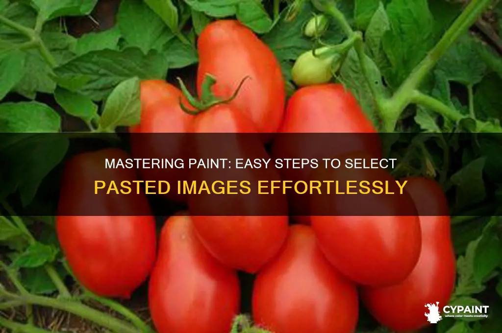 Mastering Paint: Easy Steps To Select Pasted Images Effortlessly | CyPaint