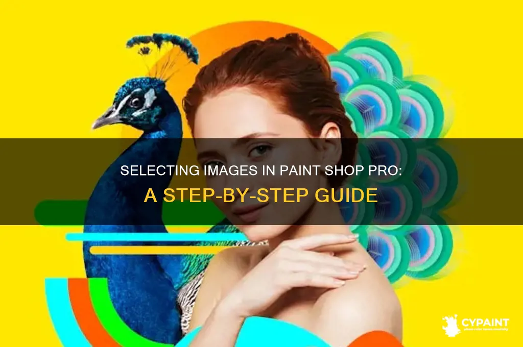 Selecting Images In Paint Shop Pro: A Step-By-Step Guide | CyPaint