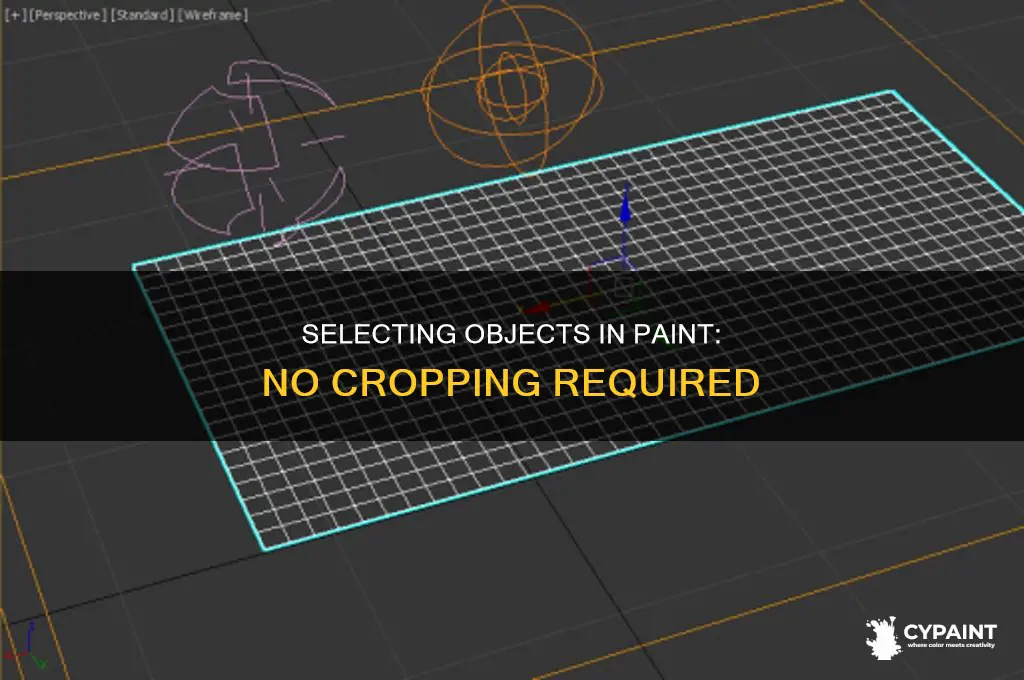Selecting Objects In Paint: No Cropping Required | CyPaint