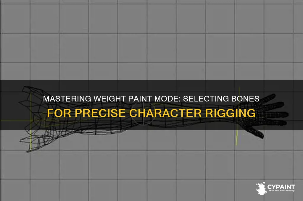 Mastering Weight Paint Mode: Selecting Bones For Precise Character ...