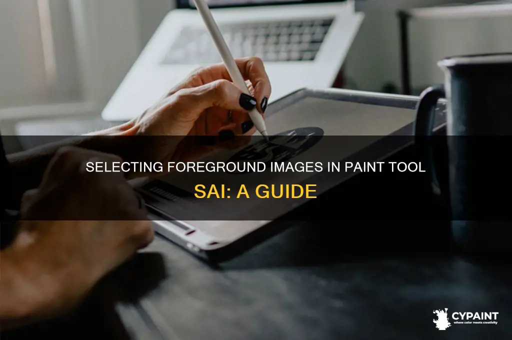 Selecting Foreground Images In Paint Tool Sai: A Guide | CyPaint