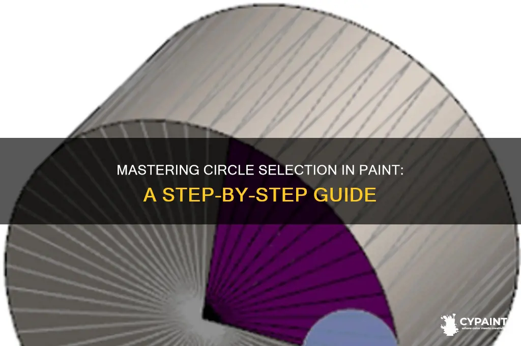 Mastering Circle Selection In Paint: A Step-By-Step Guide | CyPaint