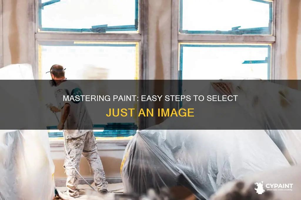 Mastering Paint: Easy Steps To Select Just An Image | CyPaint