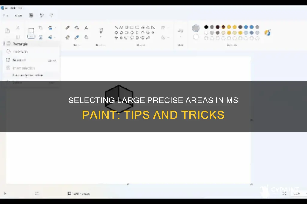 Selecting Large Precise Areas In Ms Paint: Tips And Tricks | CyPaint