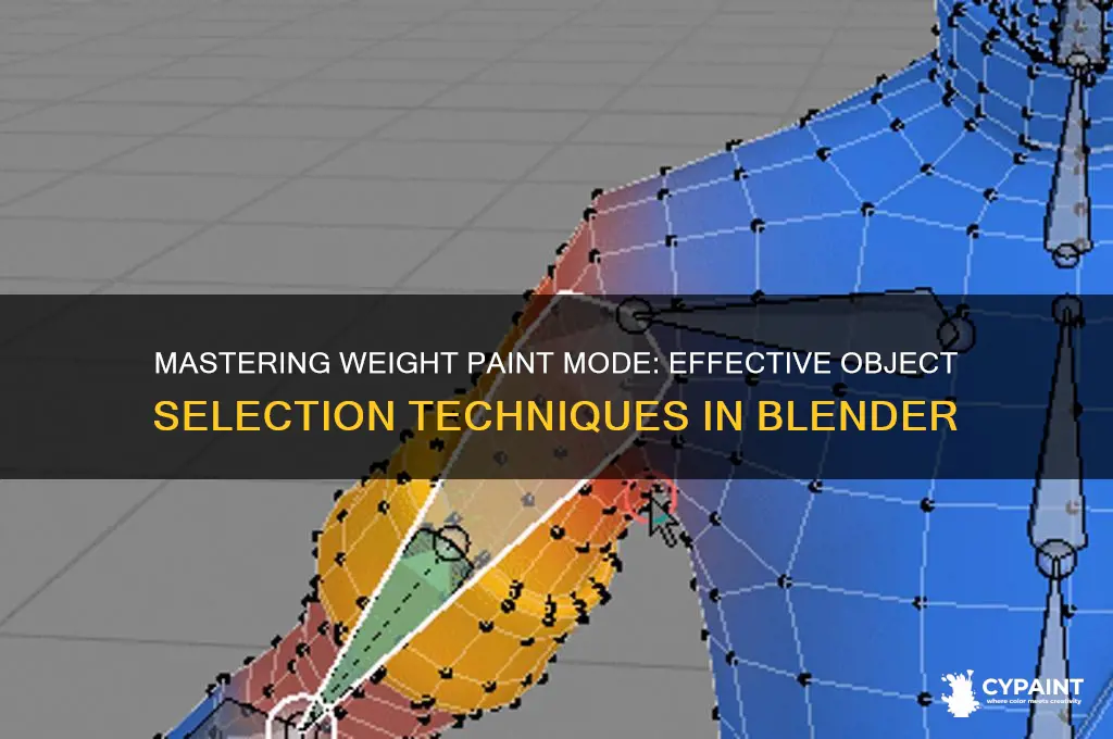 Mastering Weight Paint Mode: Effective Object Selection Techniques In ...