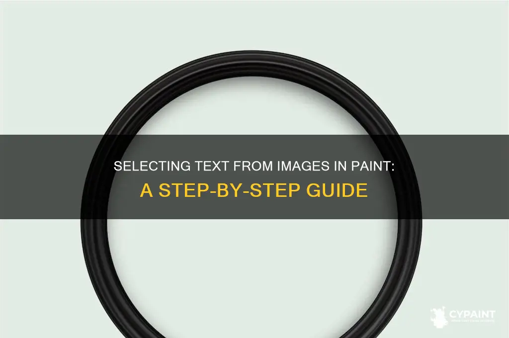 Selecting Text From Images In Paint: A Step-By-Step Guide | CyPaint