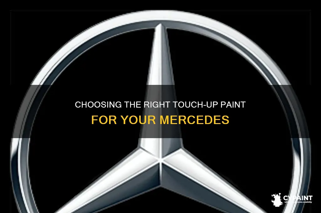 Choosing The Right Touch-Up Paint For Your Mercedes | CyPaint