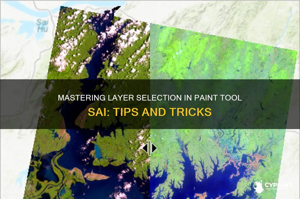 Mastering Layer Selection In Paint Tool Sai: Tips And Tricks | CyPaint