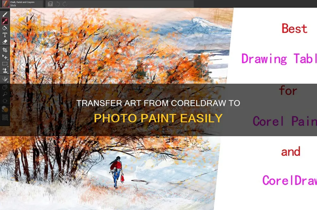 Transfer Art From Coreldraw To Photo Paint Easily | CyPaint