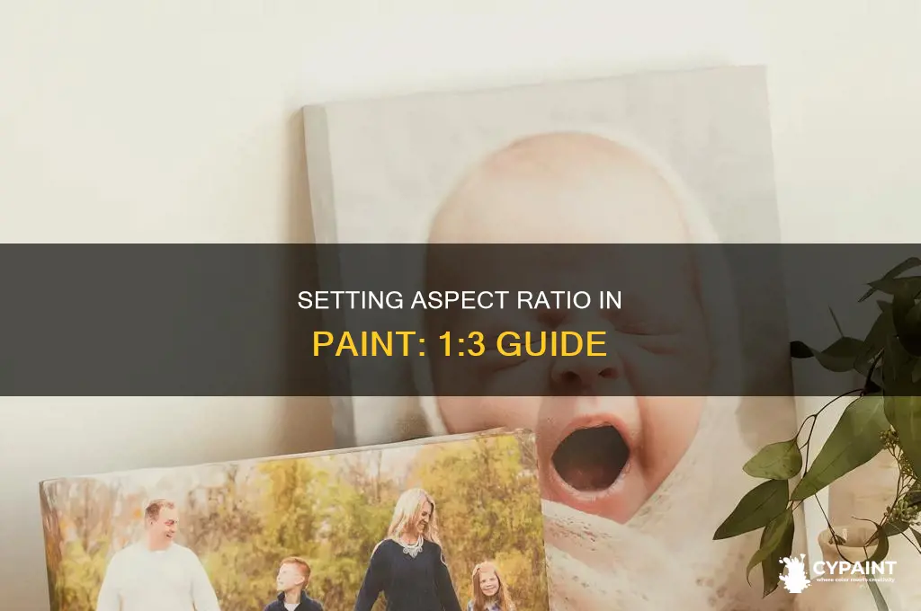Setting Aspect Ratio In Paint: 1:3 Guide | CyPaint