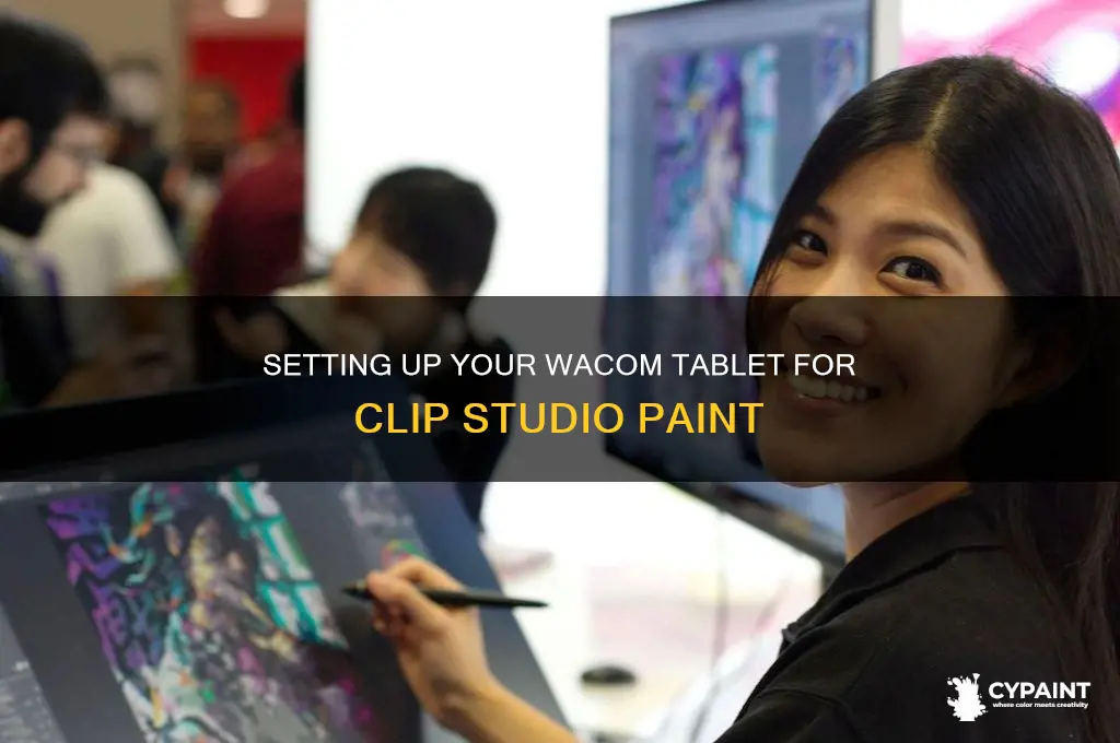 Setting Up Your Wacom Tablet For Clip Studio Paint | CyPaint
