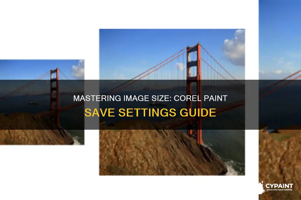 Mastering Image Size: Corel Paint Save Settings Guide | CyPaint