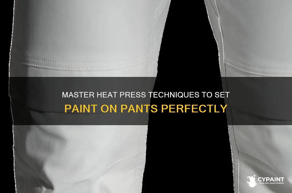 Master Heat Press Techniques To Set Paint On Pants Perfectly | CyPaint