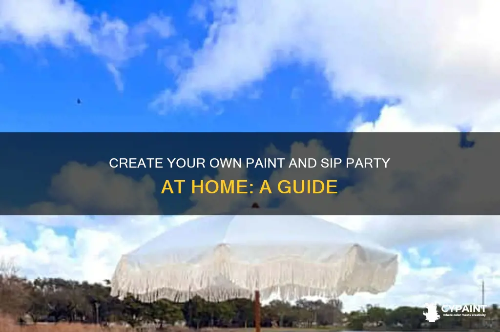 Create Your Own Paint And Sip Party At Home: A Guide | CyPaint