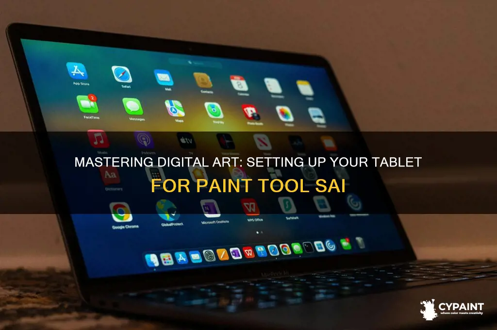 Mastering Digital Art: Setting Up Your Tablet For Paint Tool Sai | CyPaint
