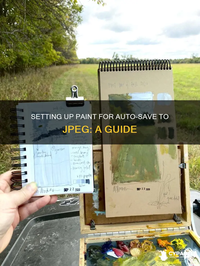 Setting Up Paint For Auto-Save To Jpeg: A Guide | CyPaint