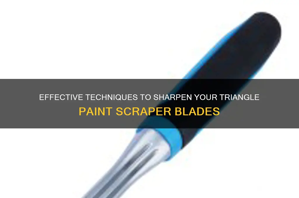 Effective Techniques To Sharpen Your Triangle Paint Scraper Blades ...